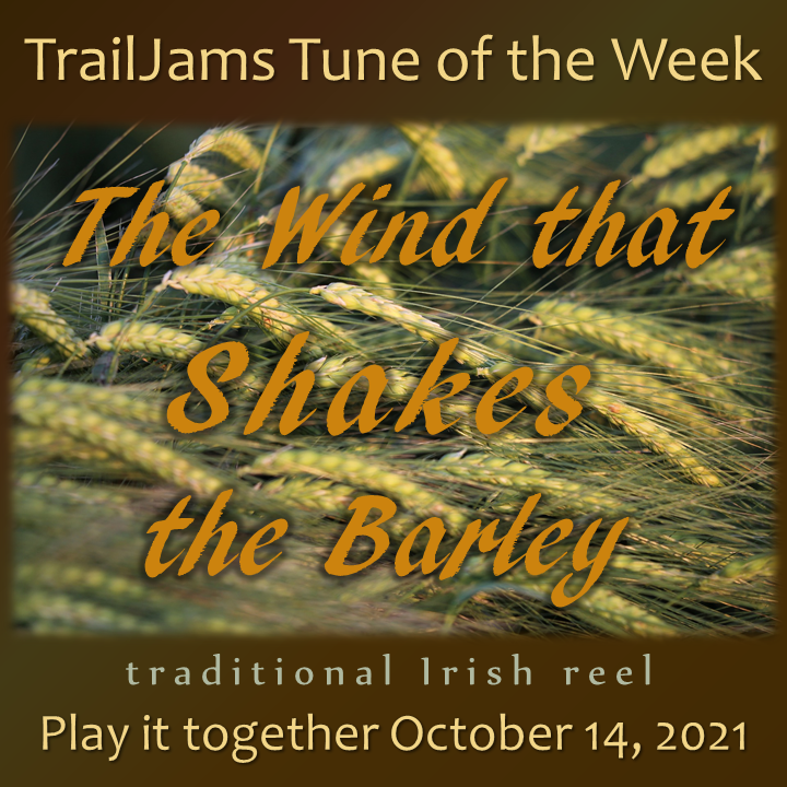 The Wind that Shakes the Barley