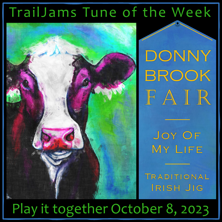 Donnybrook Fair (Joy of My Life)