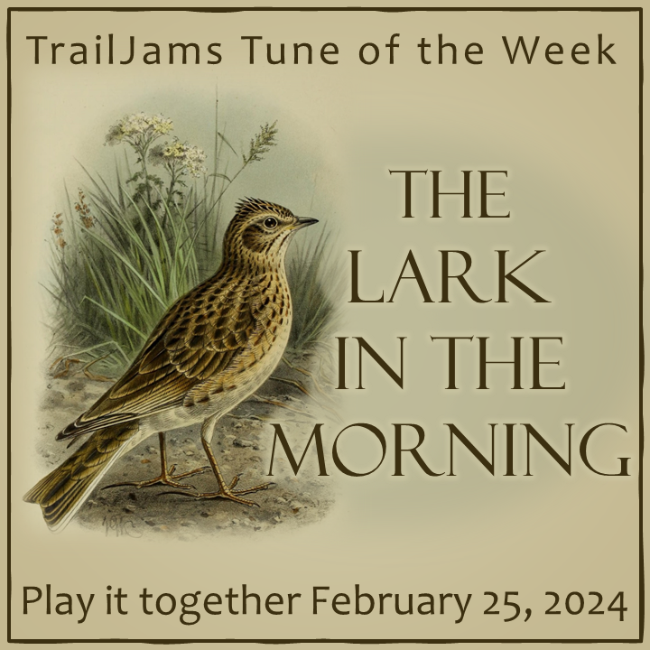The Lark in the Morning