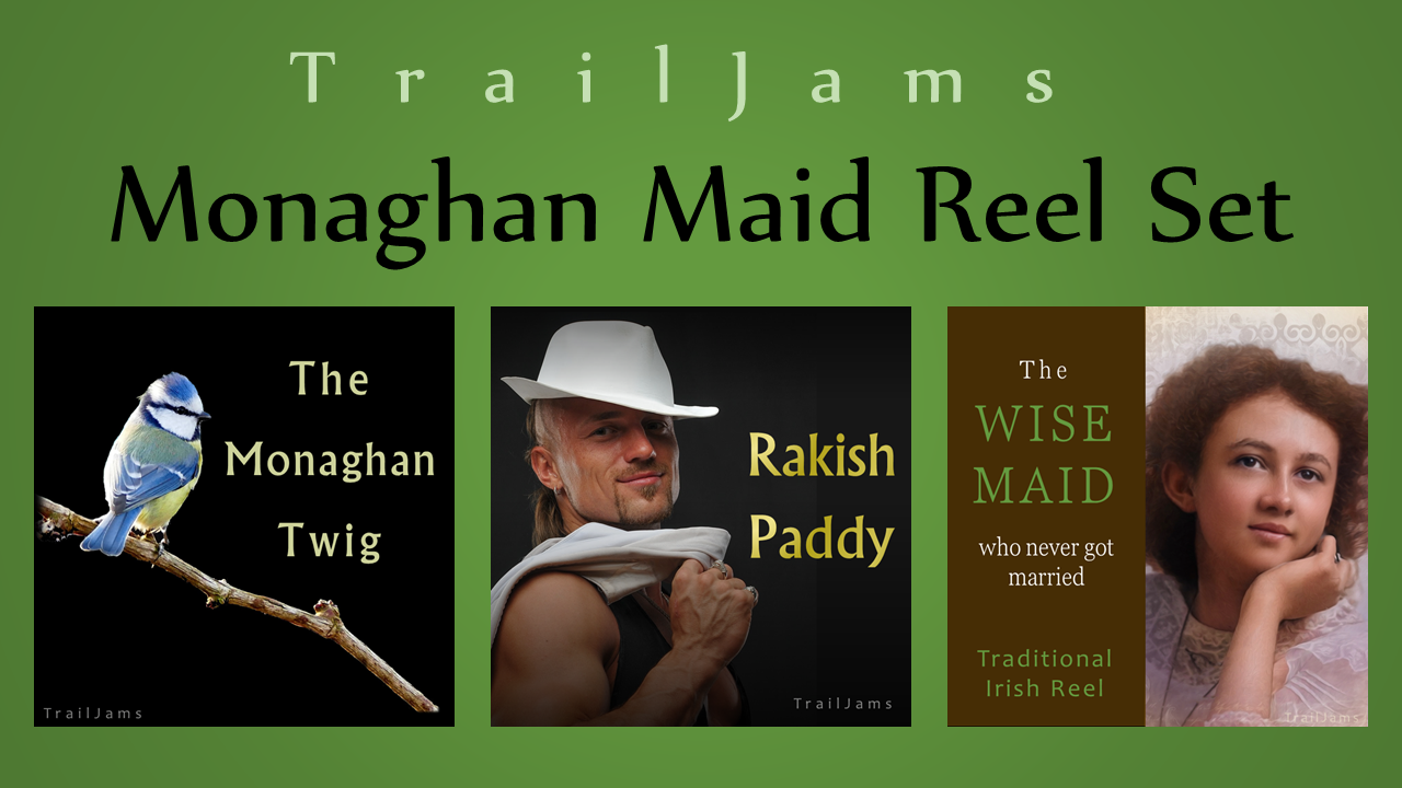 Reels: The Monaghan Twig / Rakish Paddy / The Wise Maid